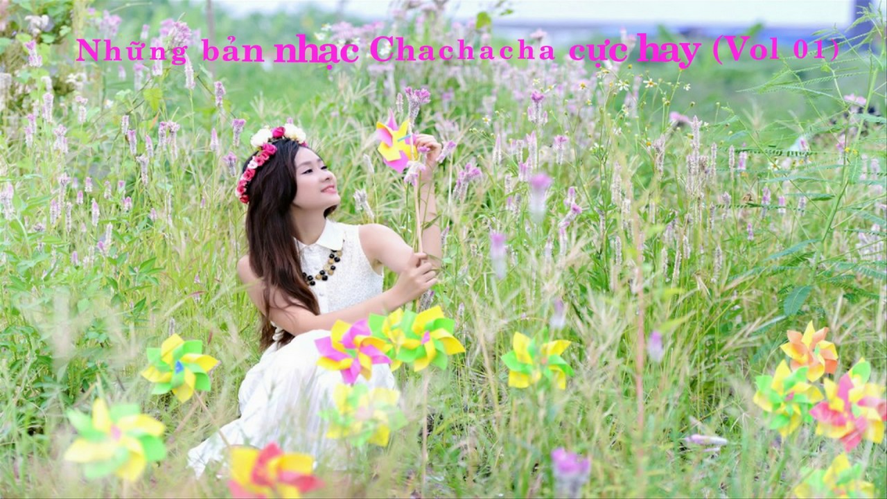 Nhung ban nhac cha cha cha cuc hay - Nhac hay nhat - YouTube