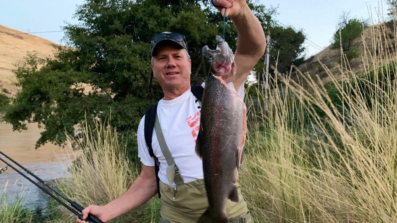 Steelhead Fishing Deschutes River & Greg Catches Large Hatchery ...