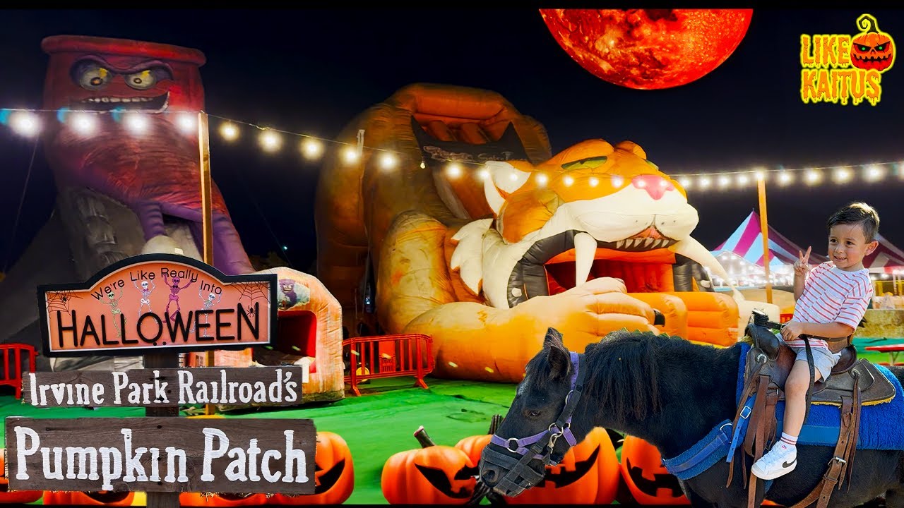 BEST PUMPKIN PATCHES | Halloween Pumpkin Patches Compilation - YouTube