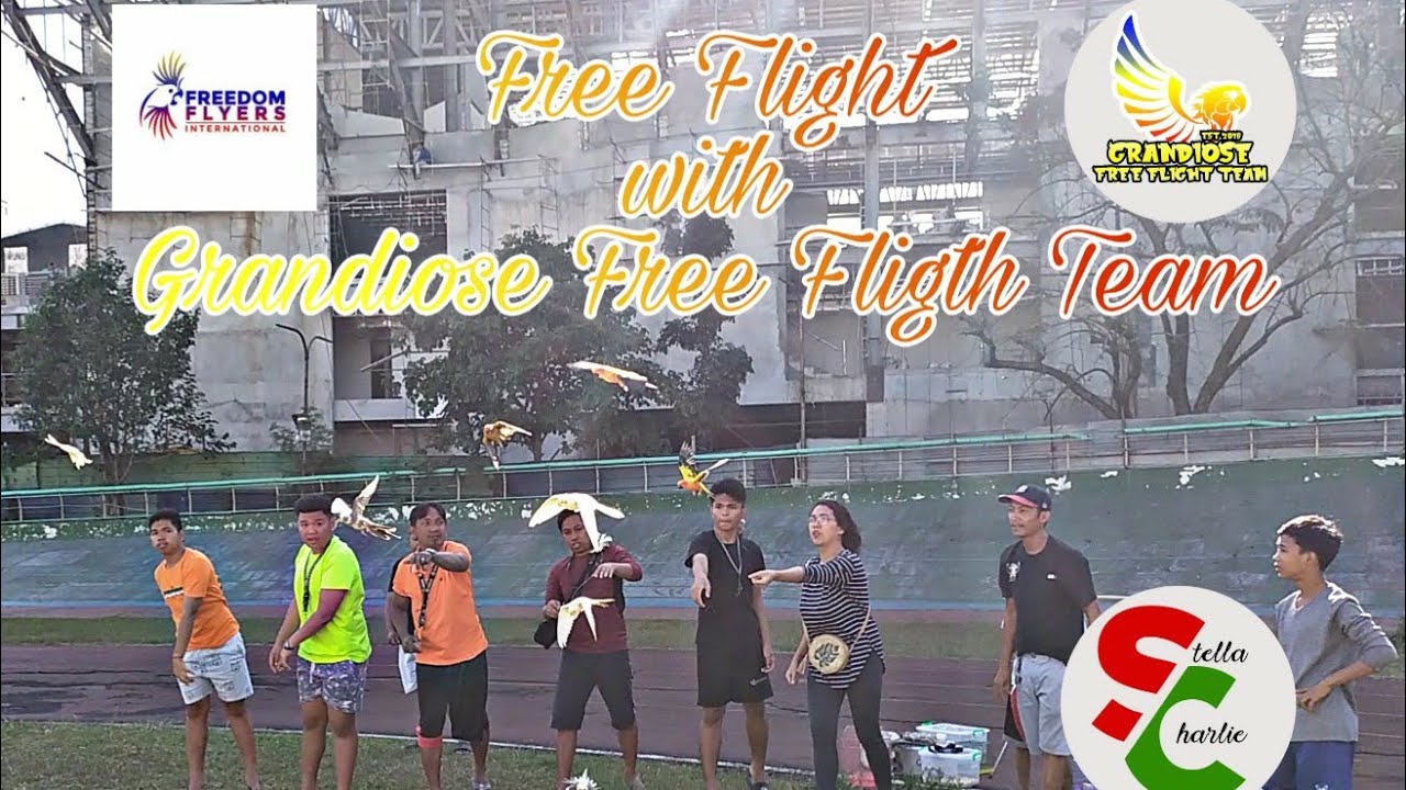 Free Flight with Grandiose Free Flight Team (GFFT) - YouTube