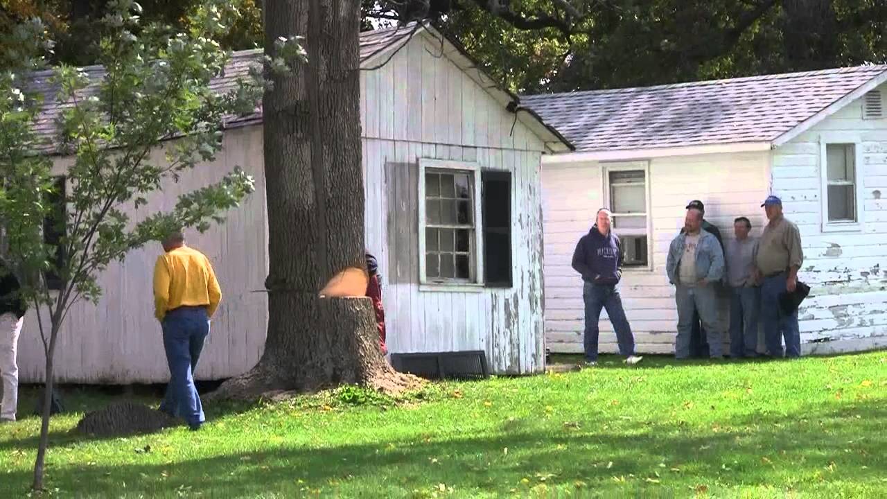 Dropping Big Ash Tree - 390XP - YouTube