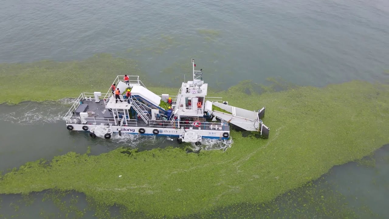 Relong Aquatic Weed Harvester Trash Skimmer Lake Weed Removal ...