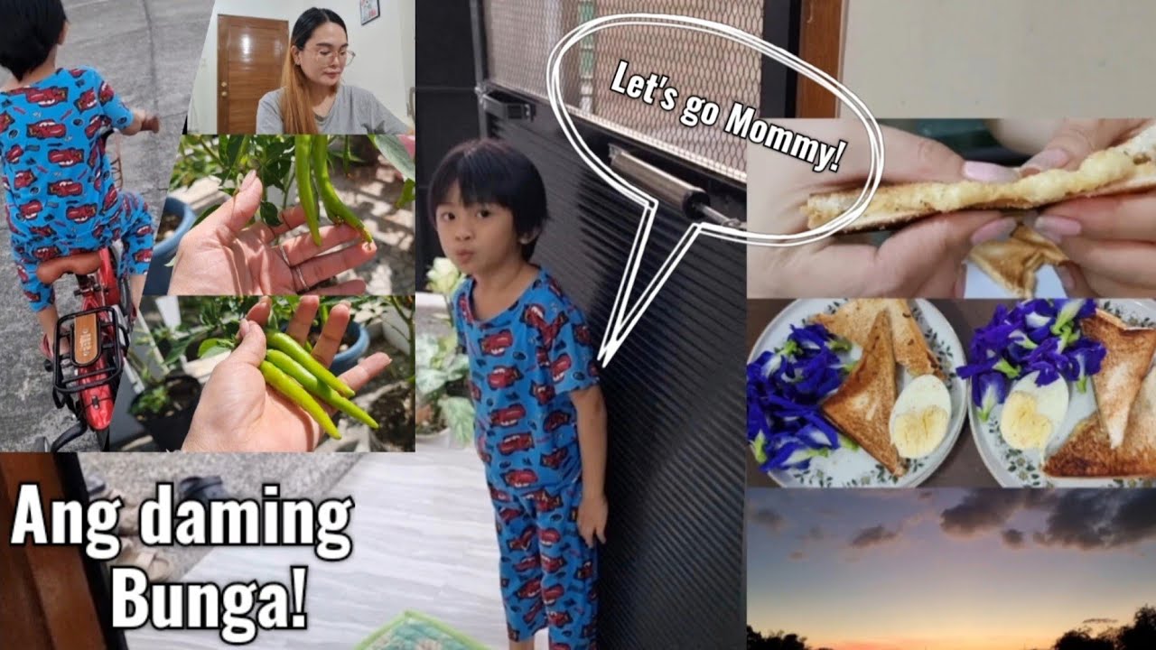 NAG HARVEST NG SILING PANIGANG! / EASY TOAST FOR MORNING! / ROUTINE NA ...