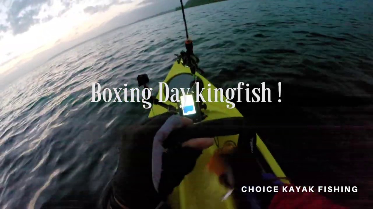 Boxing day Kingfish! - YouTube