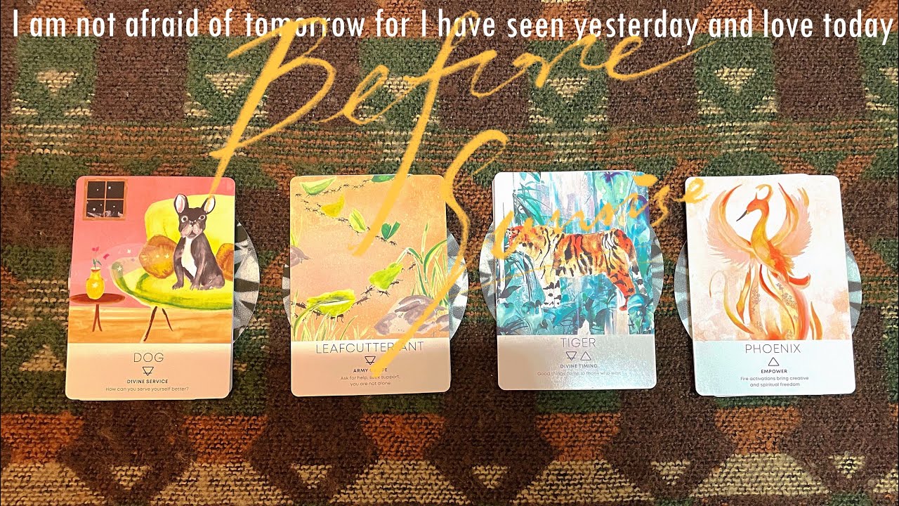 🌕今生你能达到的最高财富水平👏💵💵💵塔罗占卜🔮pick A Card【青年女巫】 Youtube