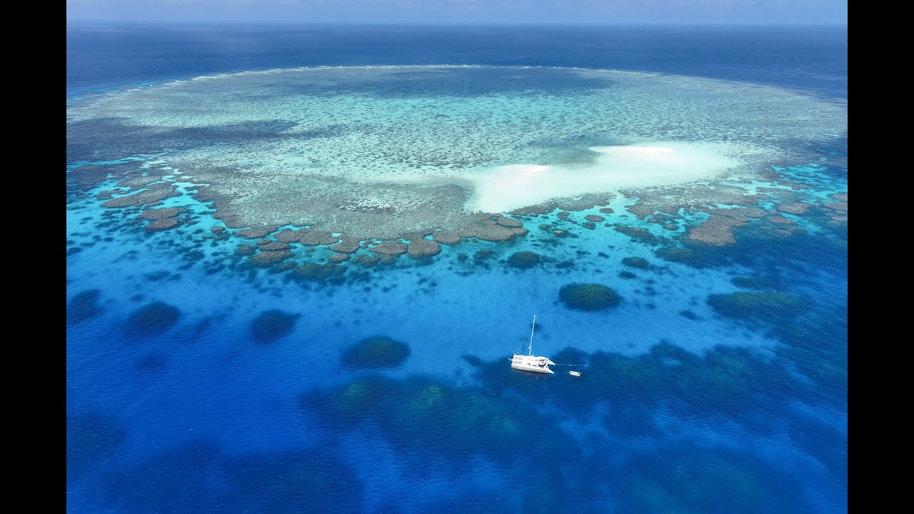 Diving Wheeler reef on the Great Barrier Reef - YouTube