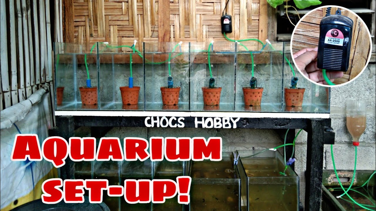 First Time to Build an Aquarium Setup - YouTube