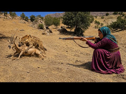 Mahrokh's thrilling battle with a wild hyena in the heart of the mountains.🦌🐅🐅🦌