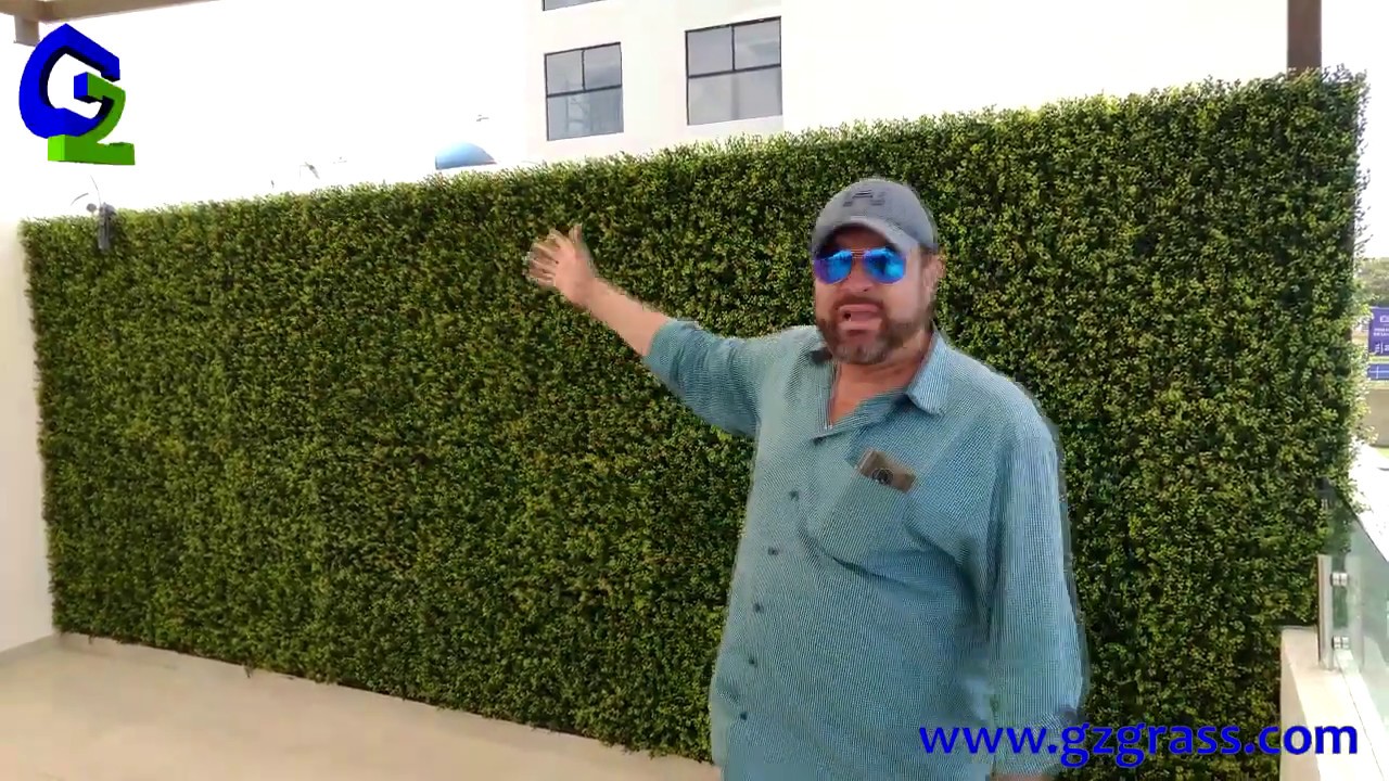 Instalación Muro Verde Arrayan Amarillo - YouTube