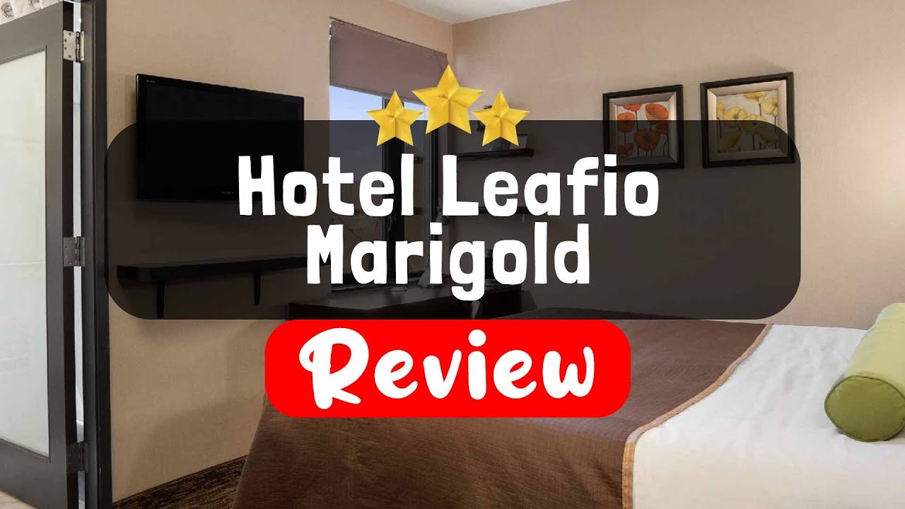 Hotel Leafio Marigold, Mumbai Review - Is This Hotel Worth It? - YouTube