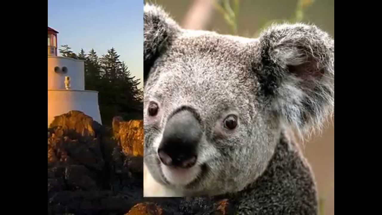 Sample Video with Images - YouTube