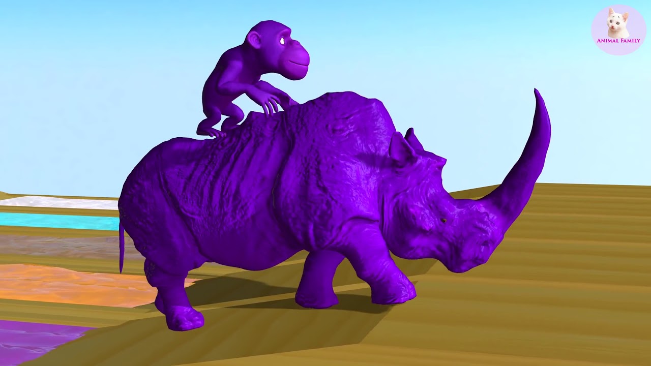 Learn Colors Learn Animals Monkey Riding Rhino Elephant Tiger Lion ...