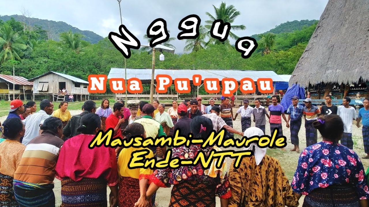 🔴Gawi Bebu|| Nggua Tana Meda (Pu'upau_Mausambi -Maurole-Ende-NTT) - YouTube
