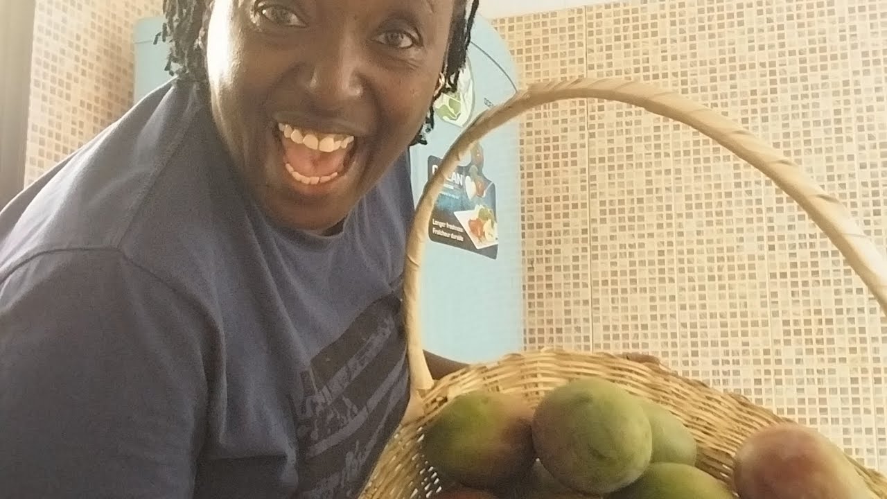 Mango Harvesting Adventure | Bentenier, Senegal 🇸🇳 - YouTube