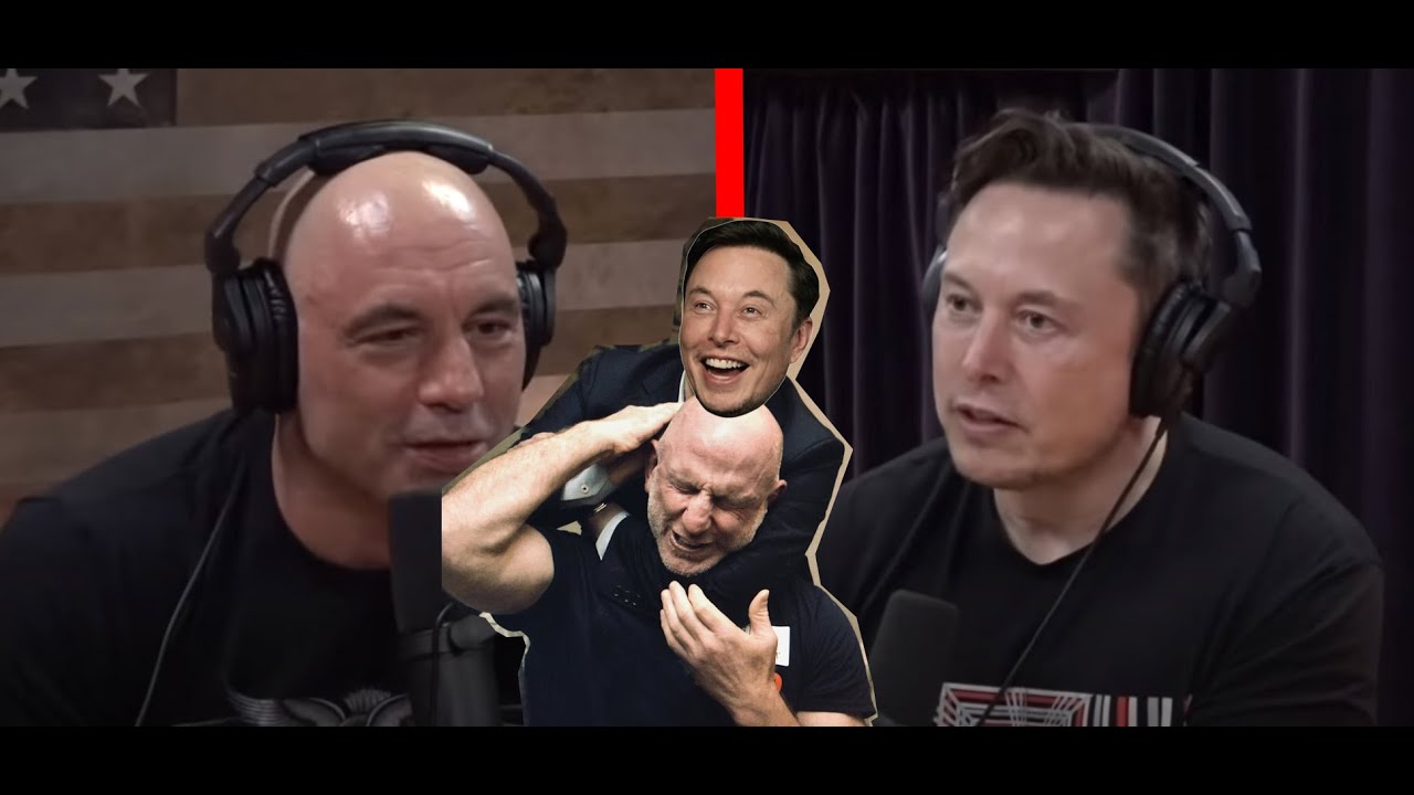 Elon Musk - I've done jiu jitsu - YouTube
