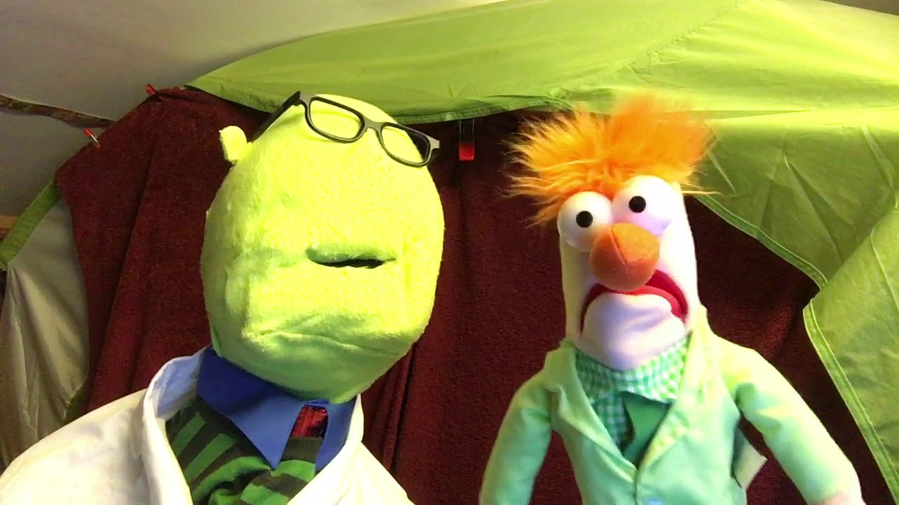 Bunsen and Beaker Sing A Horse With No Name - YouTube