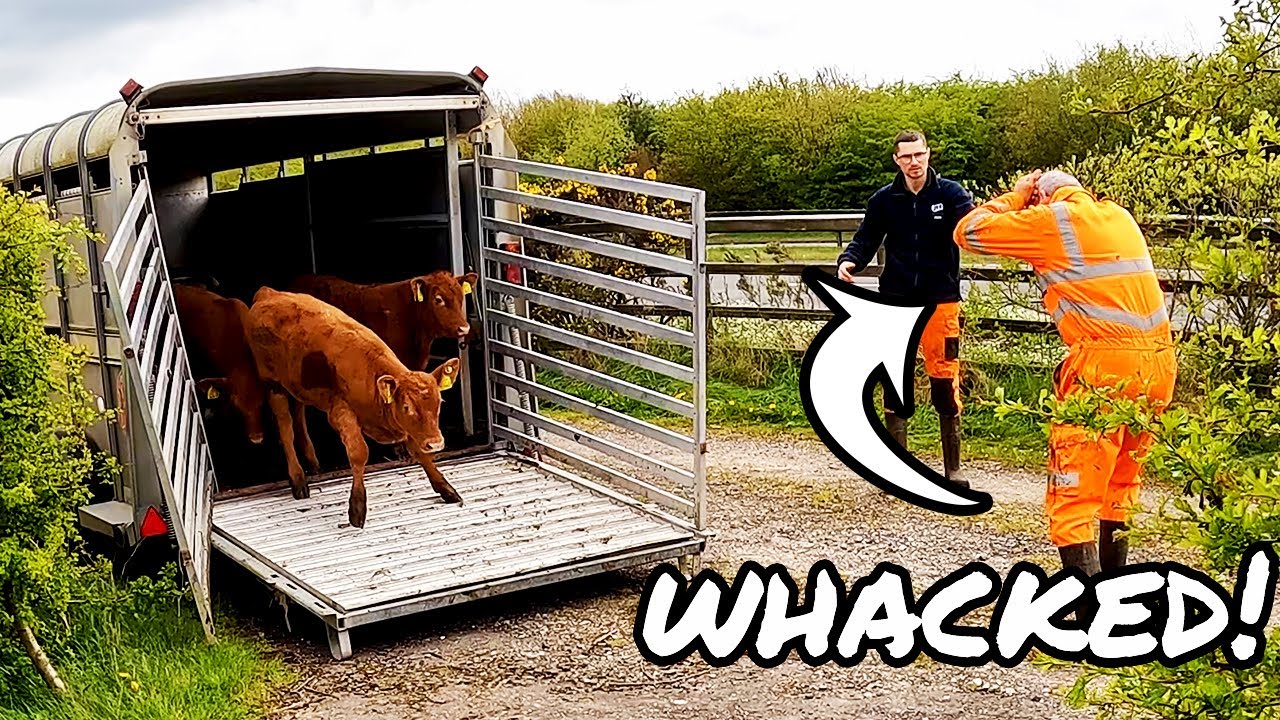 Danger Is ALWAYS Lurking! - YouTube