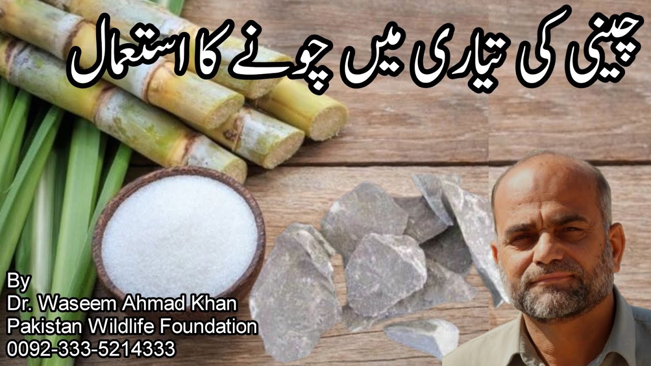 Use Of Lime In The Manufacture Of Sugar | Cheeni Ki Tyari Main Chunay ...