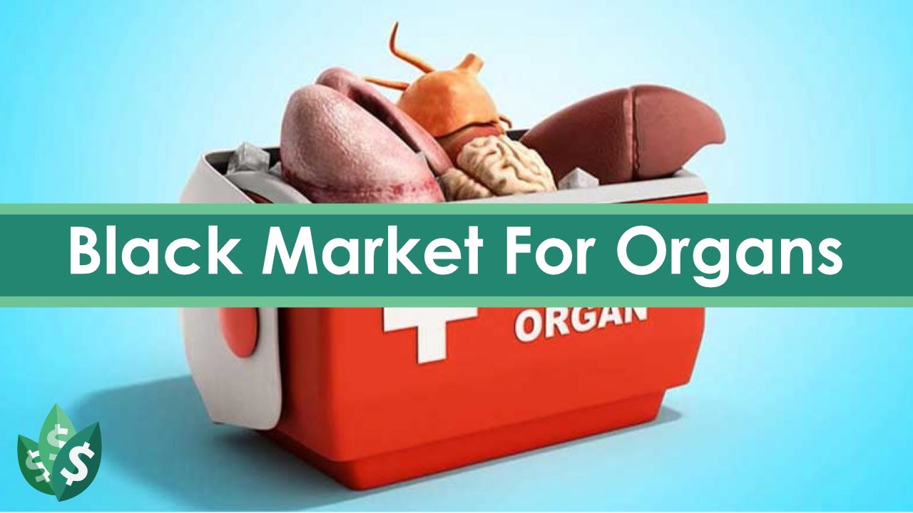 How Much Are Black Market Organs? (Explained) - YouTube