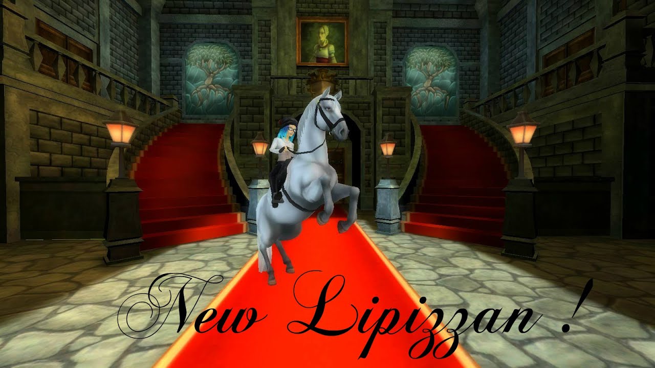 SSO | New Lipizzan ! - YouTube