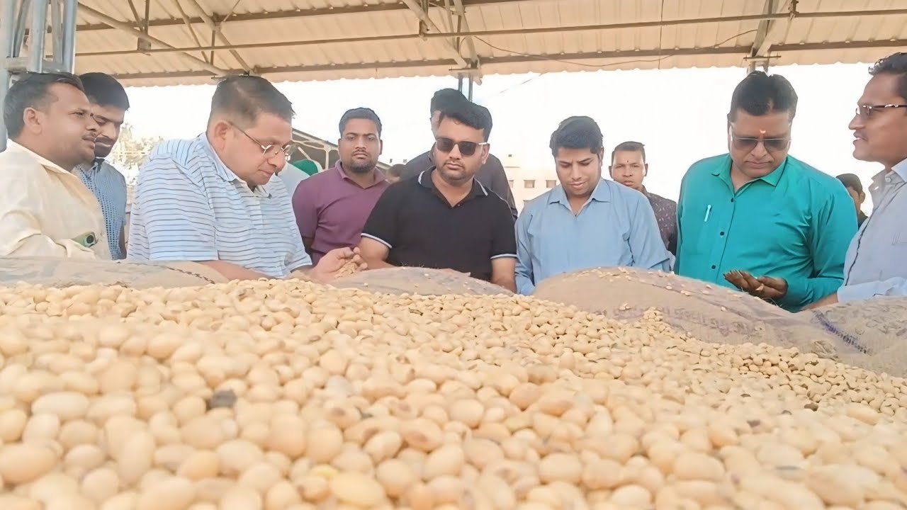 18 फरवरी 2025 को डालर चने और सोयाबीन का भाव देखे || Dalar Chane ka Rate ...