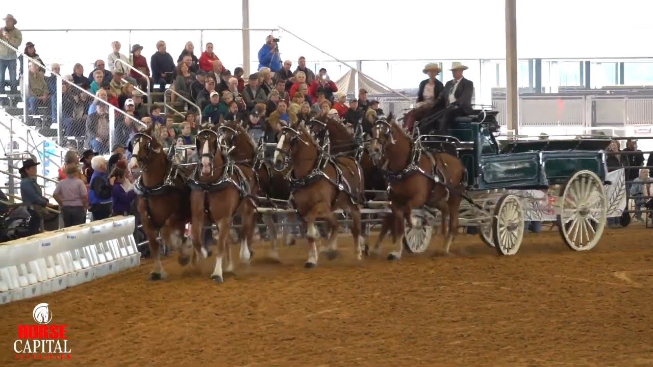 2022 Grandview Invitational and Grandview World Nights Preview - YouTube