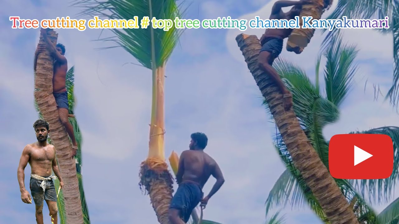 Tree cutting channel # top tree cutter # tamilnadu - YouTube