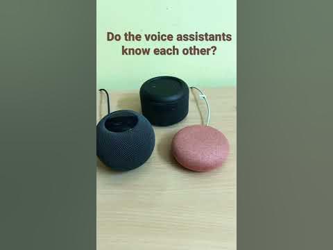 Google Assistant vs Alexa vs Siri | How do they respond about other ...