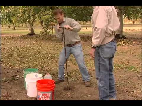 Taking Soil Samples Part 3: Taking Samples in the Orchard - YouTube
