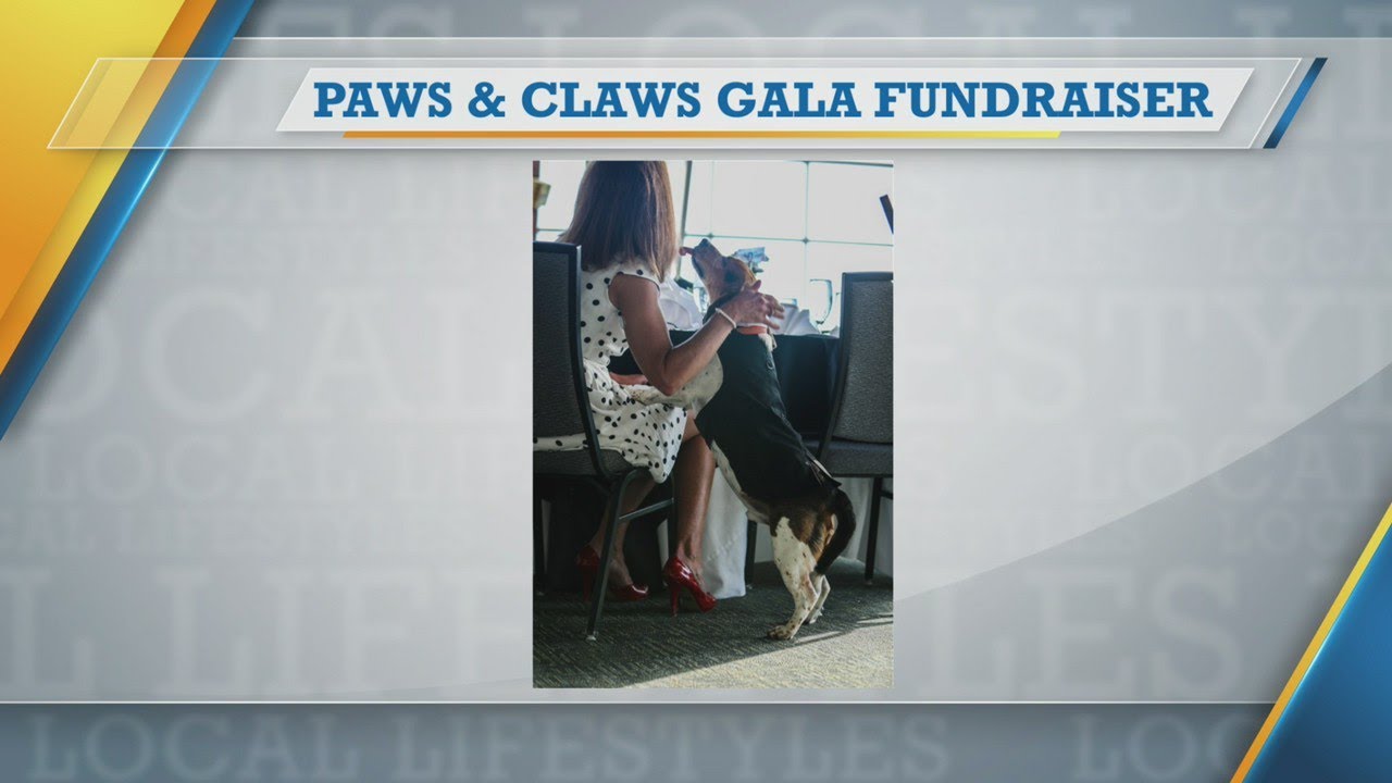 Paws and Claws Gala Fundraiser - YouTube