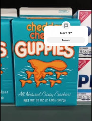 WHAT ARE THESE OFF BRAND ITEMS 2!!?!?!?!? - YouTube