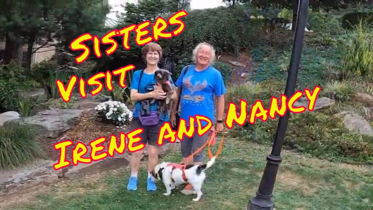 The Sisters Go Birding And The Power Line Bites Us - YouTube