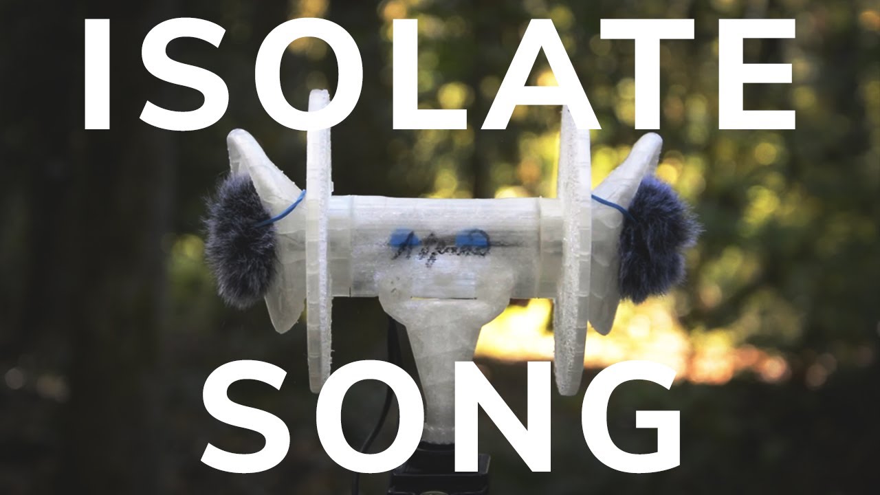 ISOLATE SONG - Synthetic Birdsong Audio Installation | Max Krien - YouTube