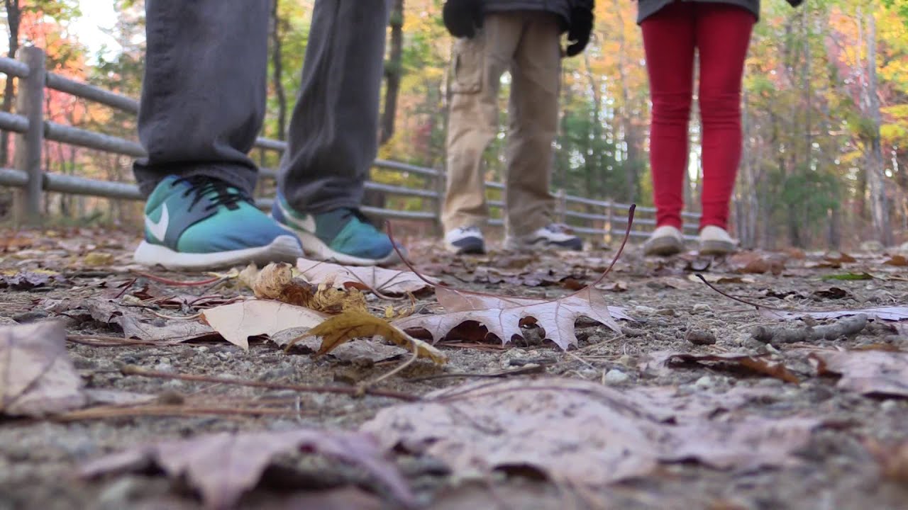 Batman: Gotham's Uprising -- Trailer - YouTube