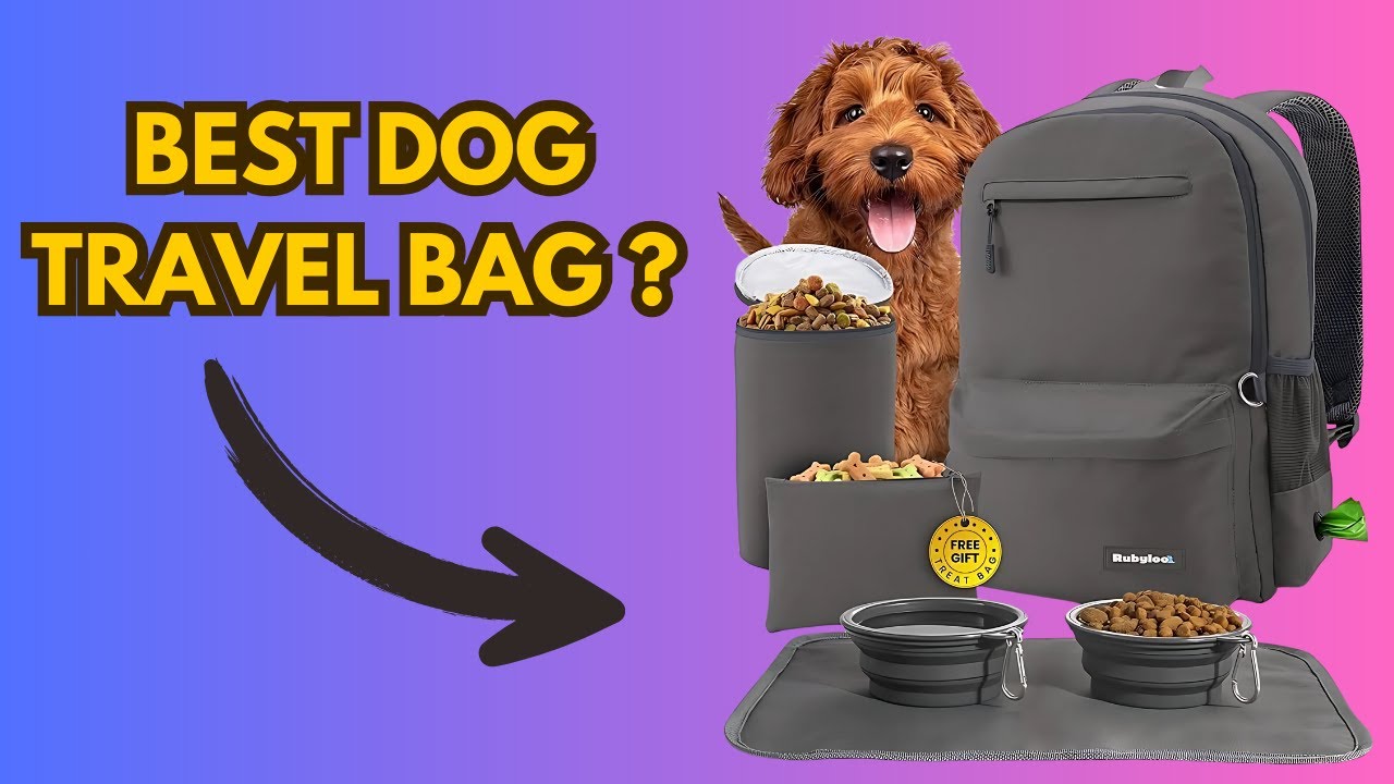 Upgrade Your Pet Travel with The Original Doggy Bag Backpack - Review ...