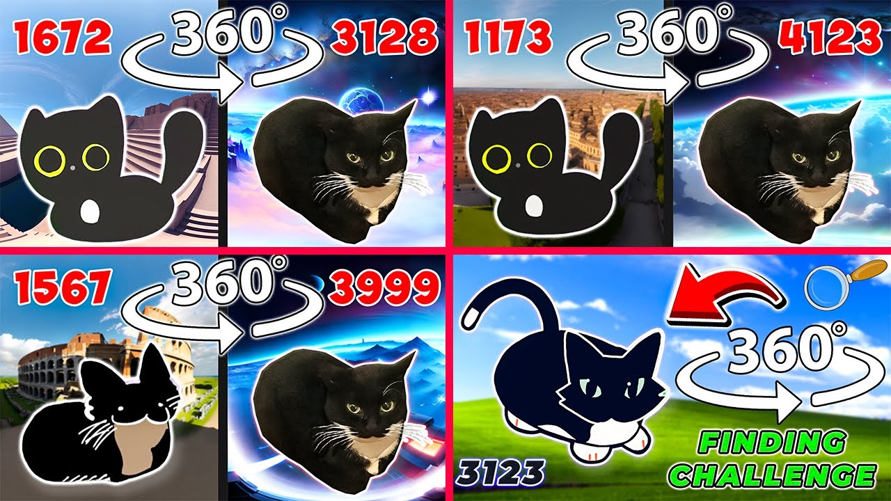 Best Maxwell Cat Compilation 360° Video VR - YouTube