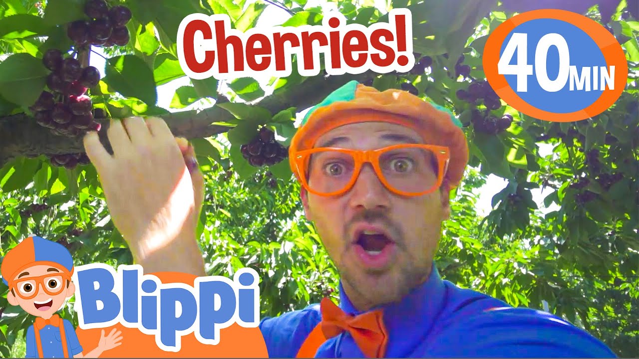 Blippi Visits a Cherry Farm and Eats Healthy Fruits! | BEST OF BLIPPI ...