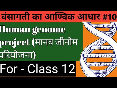 Biology in hindi (Class 12) - Molecular basis of inheritance in hindi ...