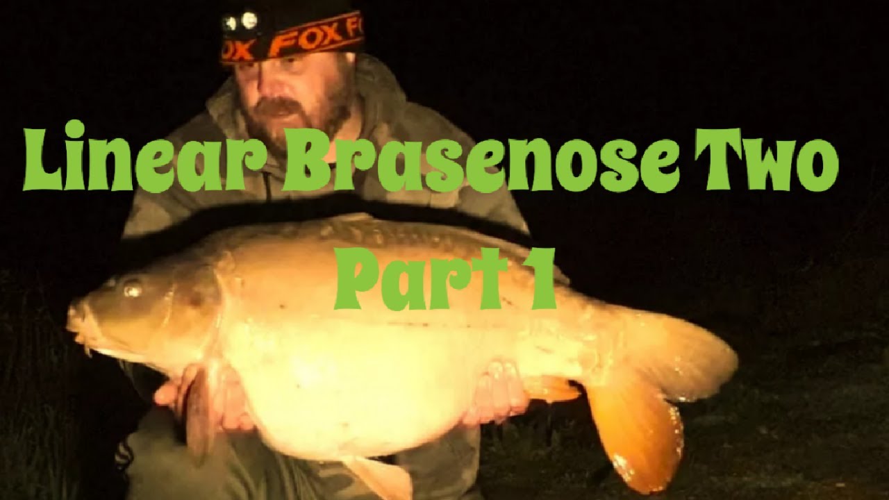 Carp Fishing Linear Fisheries B2 Part 1 - YouTube