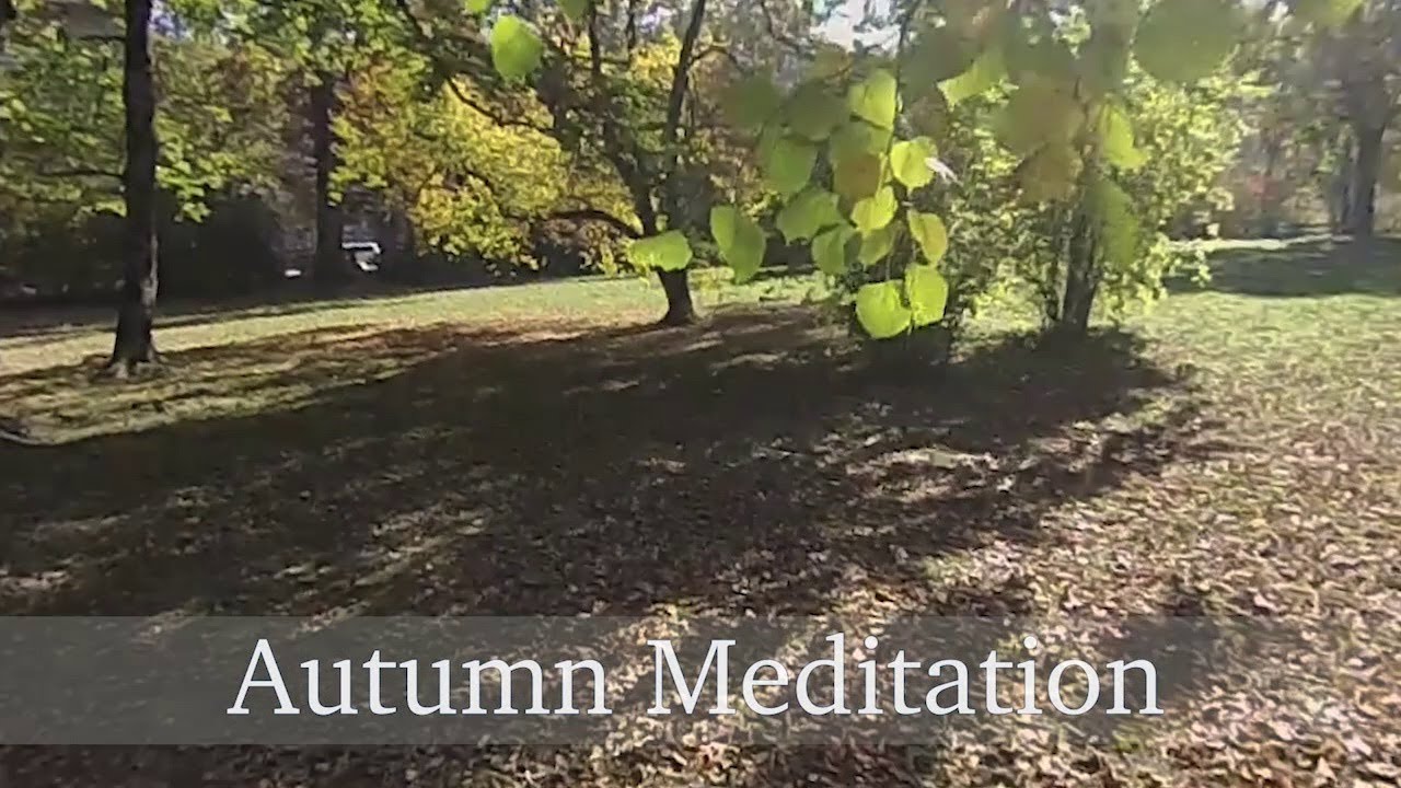 Autumn Meditation - Monday Mindfulness - YouTube
