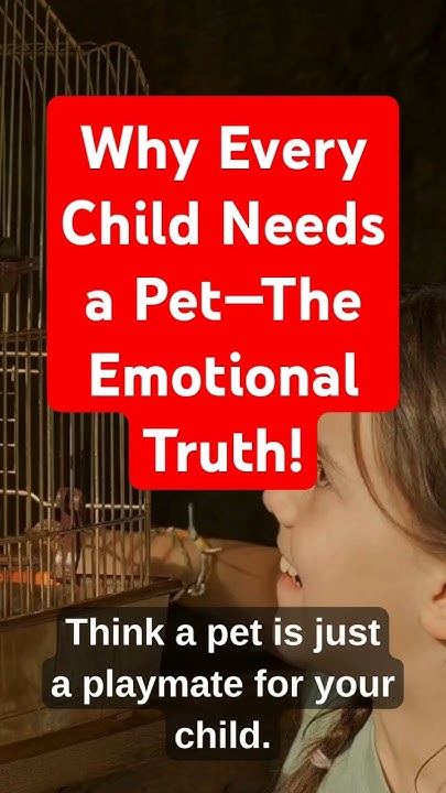 Why Every Child Needs a Pet—The Emotional Truth! - YouTube