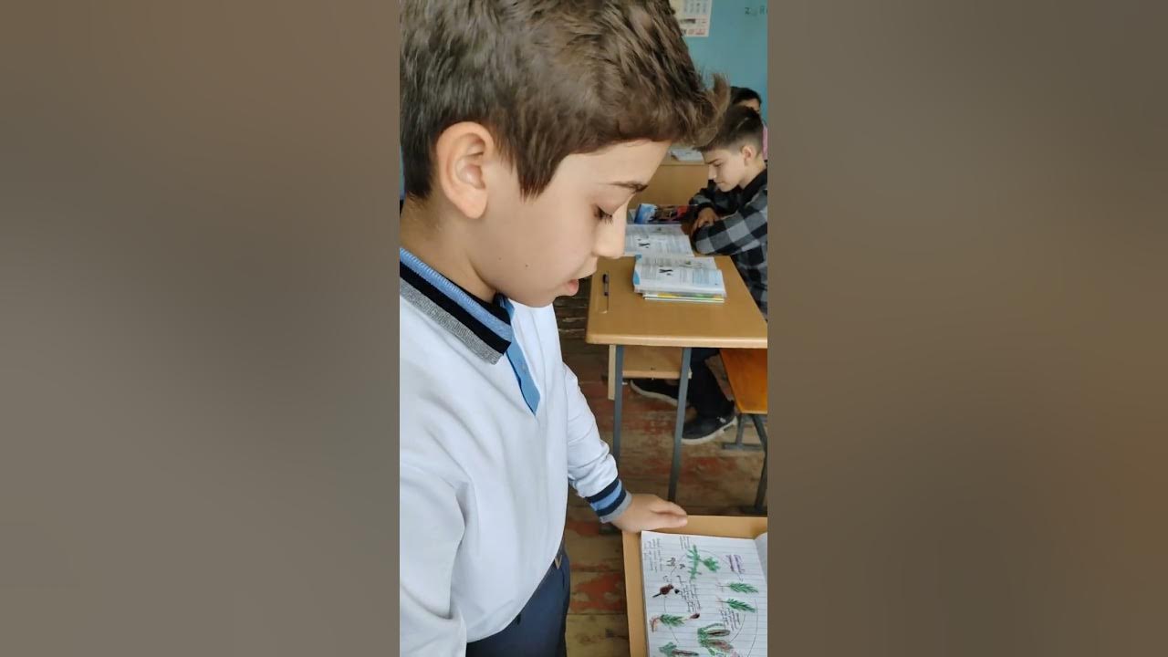 7ç ali sporlu bitkilər. Mamırlar - YouTube