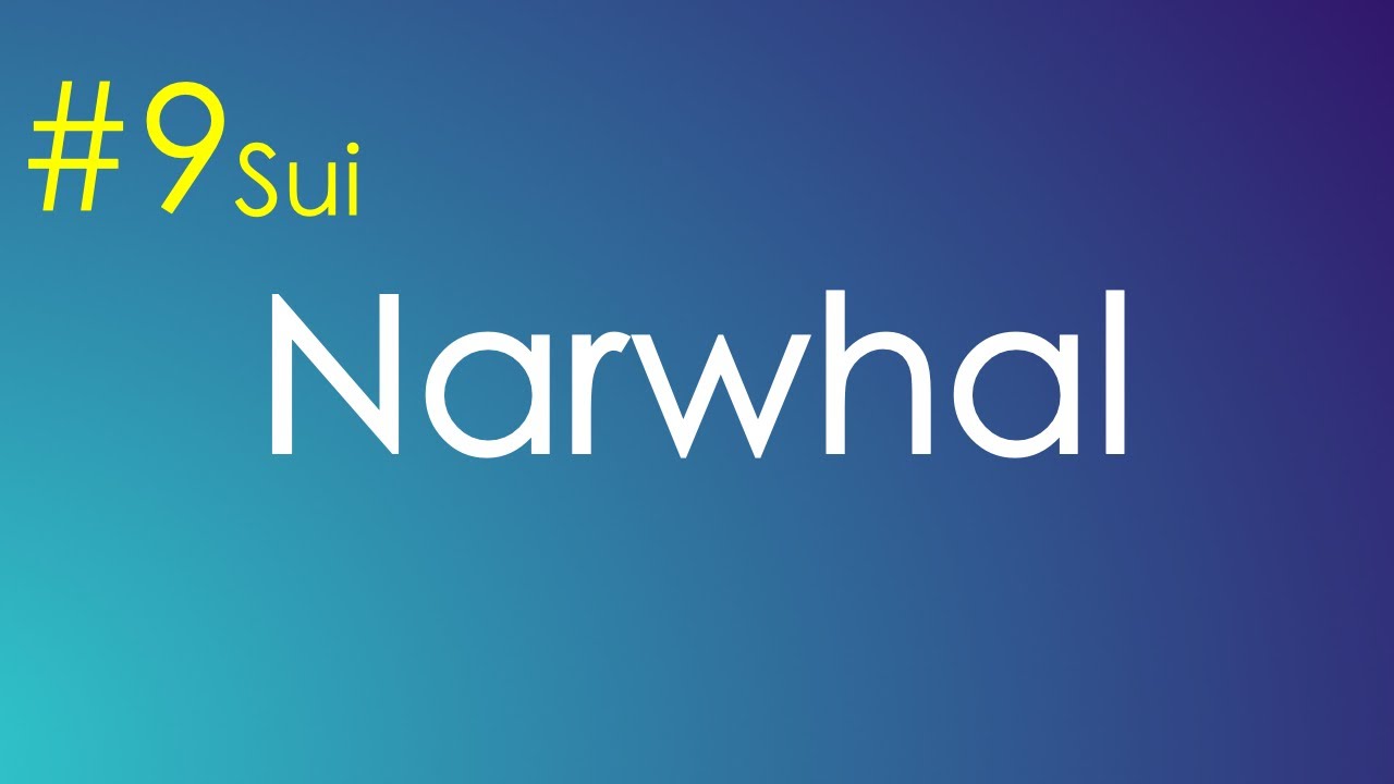 Sui分享1_Narwhal异步共识实现_consensus_implement - YouTube