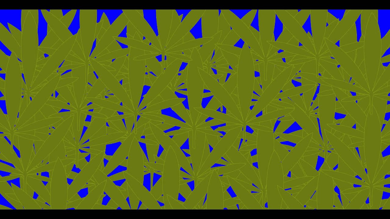Weed Leaf Transition - Green Screen Animation - YouTube