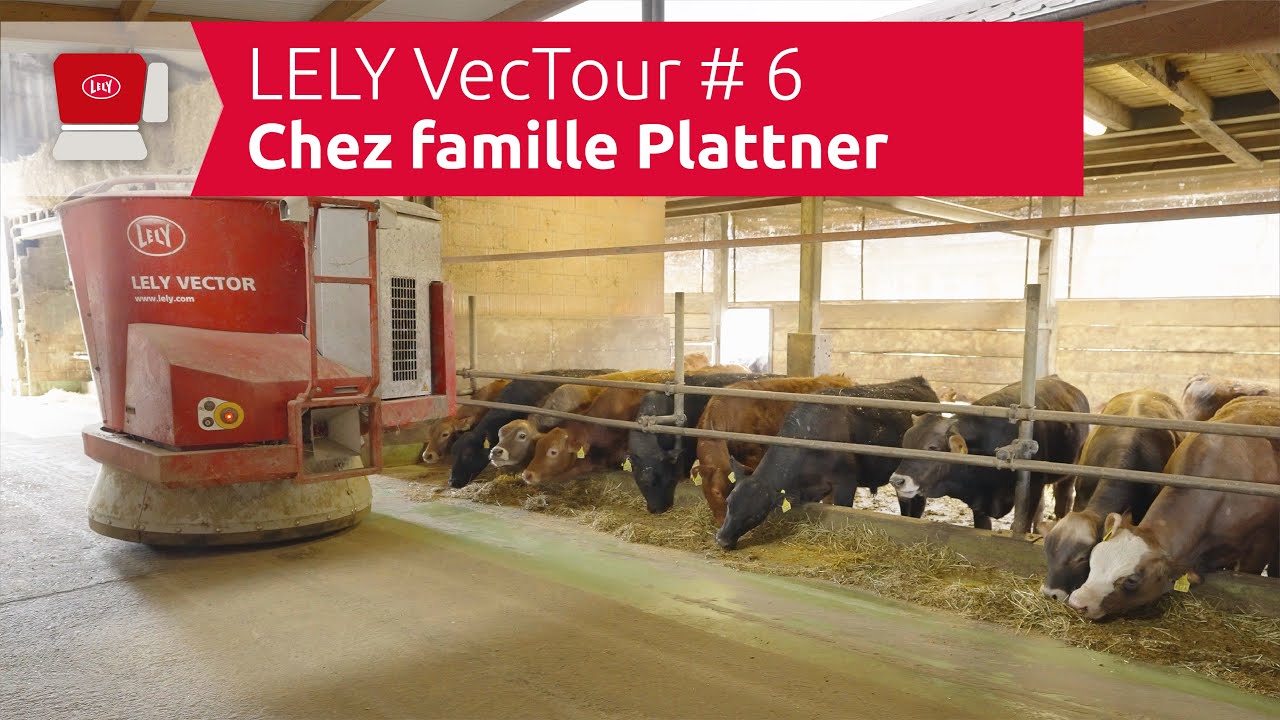 LELY VecTour 2023 #6 Chez la famille Plattner - YouTube