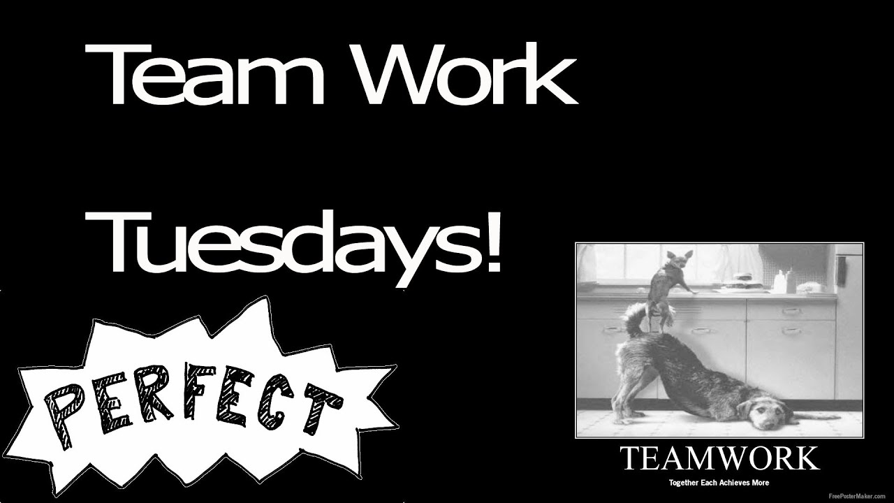 Team Work Tuesday! Perfect Team Work! - YouTube
