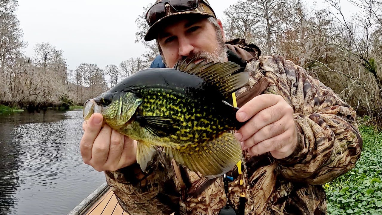Cold Front Crappie Fishing on Withlacoochee River - YouTube