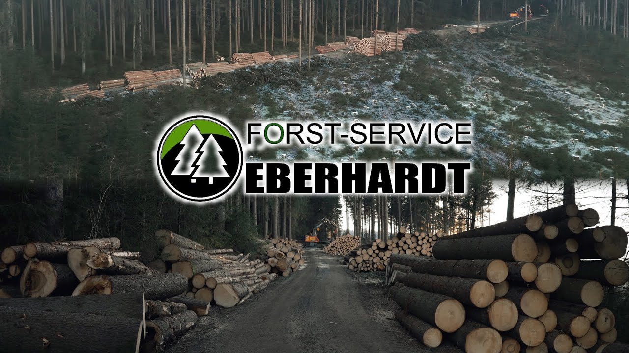 Forstservice Eberhardt - Naturverjüngungsräumung - YouTube