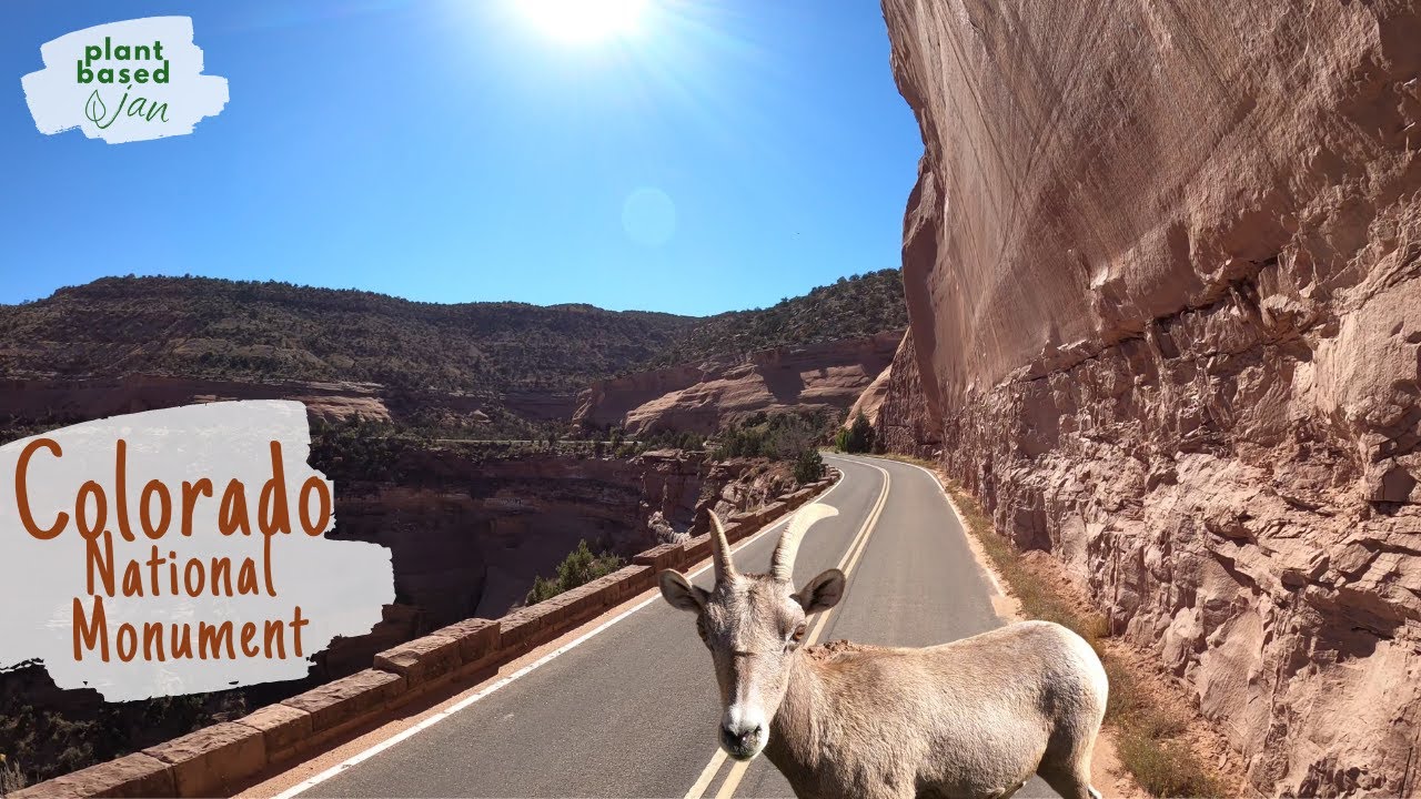 EPIC Rim Rock Drive in Colorado National Monument - A Bucket List ...