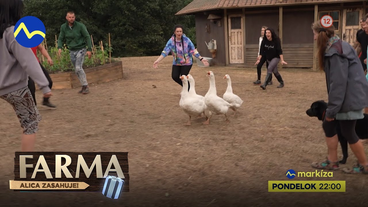 Farma 14 - ZAČÍNAME v predstihu na Voyo a od pondelka 5. 9. 2022 o 22: ...